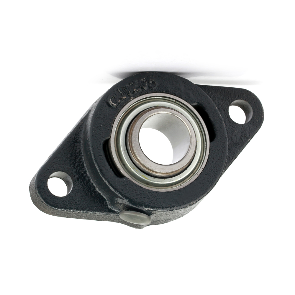 Two-bolt flanged housing units cast iron centring spigot eccentric ...